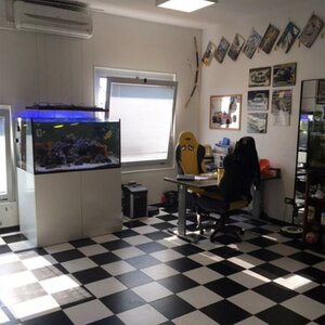 Autocarrozzeria Master Bike (Liguria, Provincia di Savona, Via Cave, 29), otomobil servisi  Savona'dan