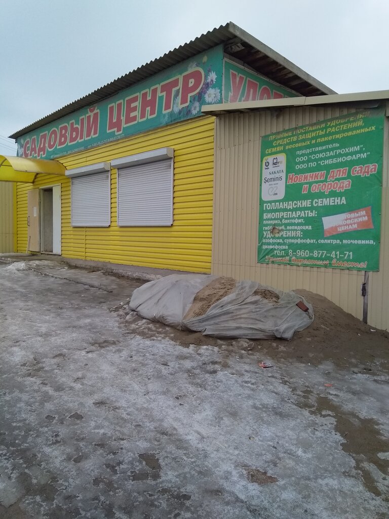 Tohum satan yerler Садовый центр, Krasnoslobodsk, foto