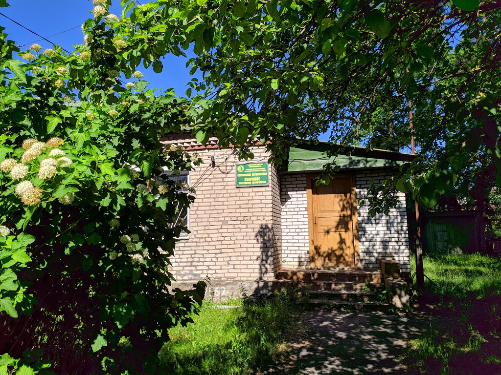 Orman işleri Kolomensky leskhoz g. Ozery, Oziory, foto