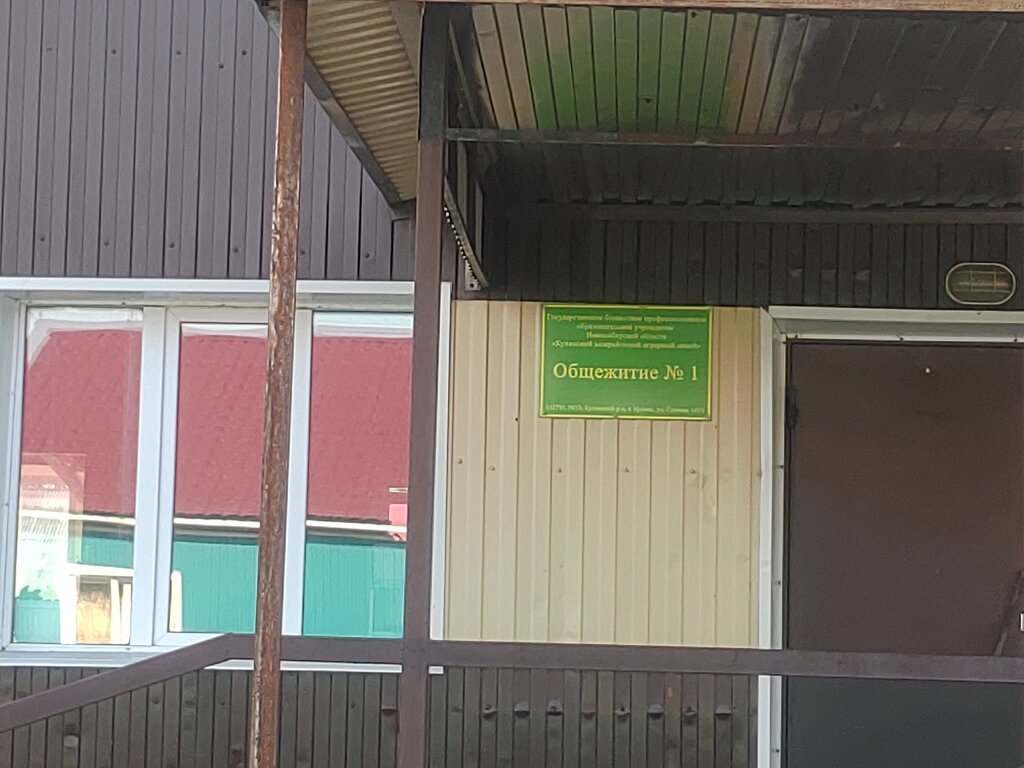 Yurtlar Общежитие № 1, Kupino, foto