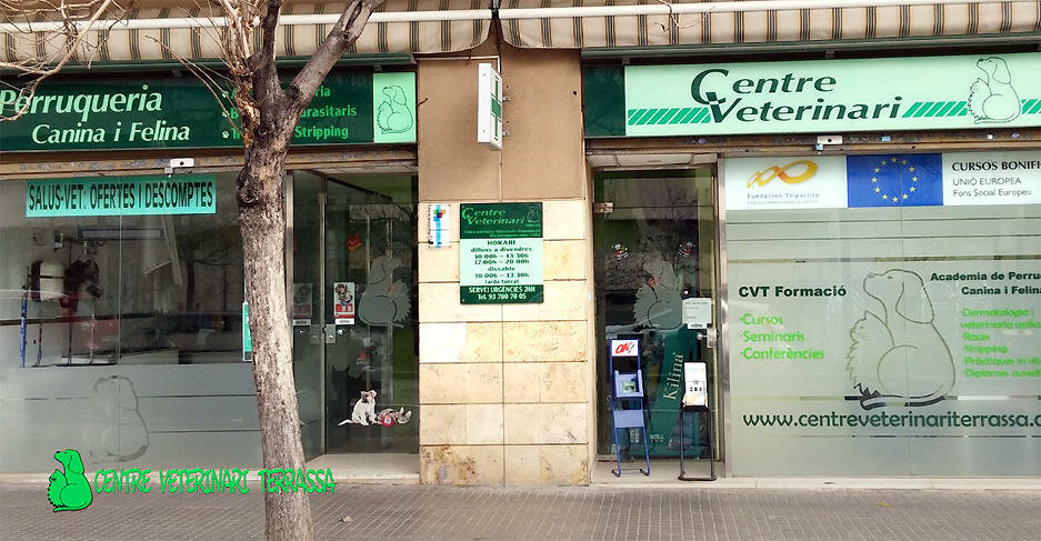 Veteriner klinikleri Centre Veterinari Terrassa, Katalonya, foto