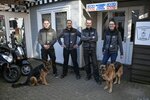 Scooter World (Ochsenzoller Straße No:177, Stadt Hamburg, Hamburg), motosiklet satışı  Norderstedt'ten