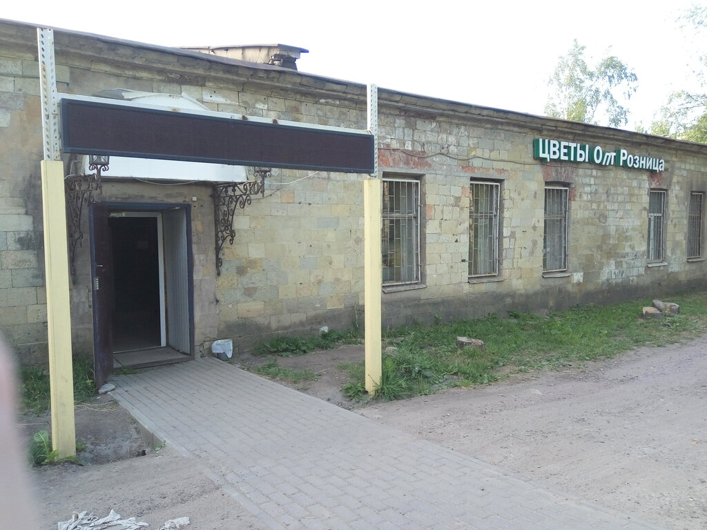 Çiçekçiler Ванда, Gatchina, foto