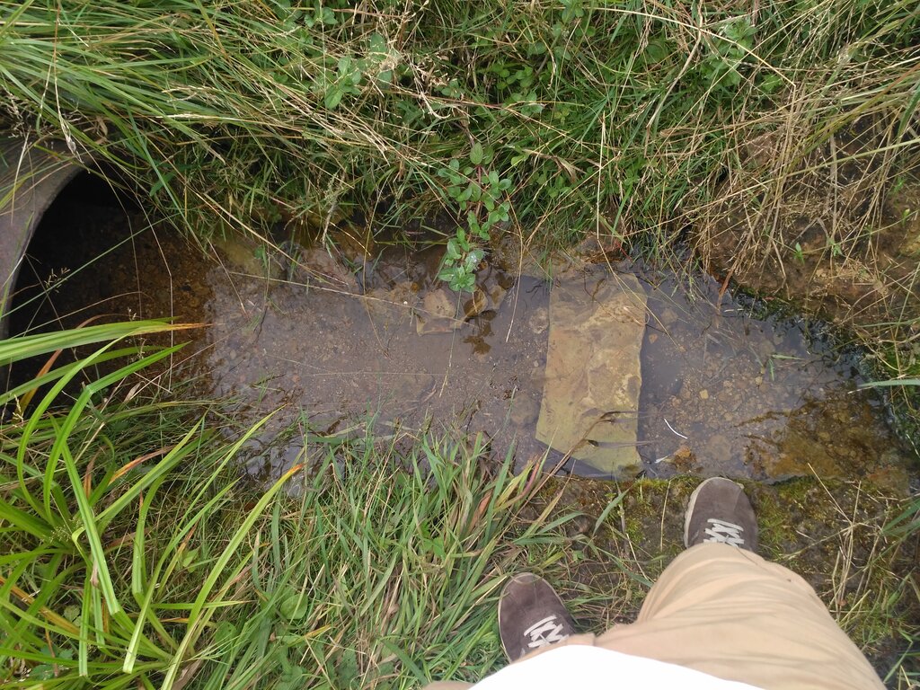 Pınar, çay Spring, stream, Orlovskaya oblastı, foto