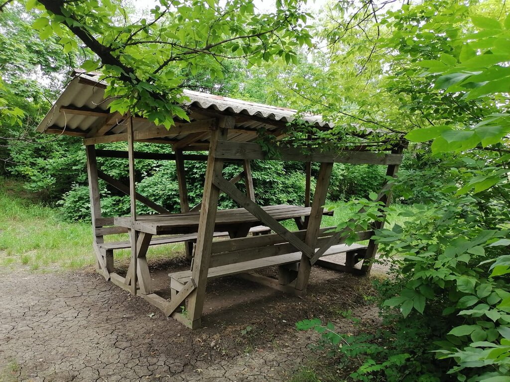 Piknik alanı Recreation Area Picnichok, Makeevka, foto