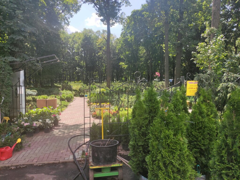 Sera ve bahçe ürünleri Парк цветов, Penza, foto