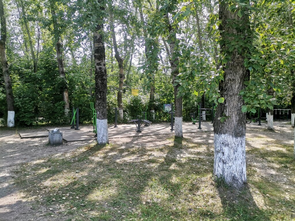 Spor alanı Уличные тренажеры, Riazan, foto