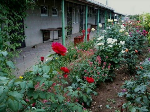 Otel Гостиница, Kırım Cumhuriyeti, foto