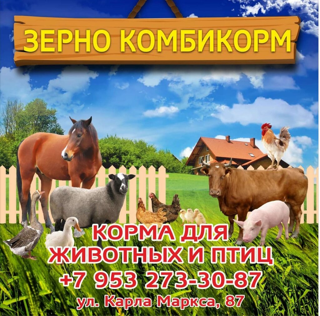 Yem ve yem katkı maddeleri Живая птица, Jukovka, foto