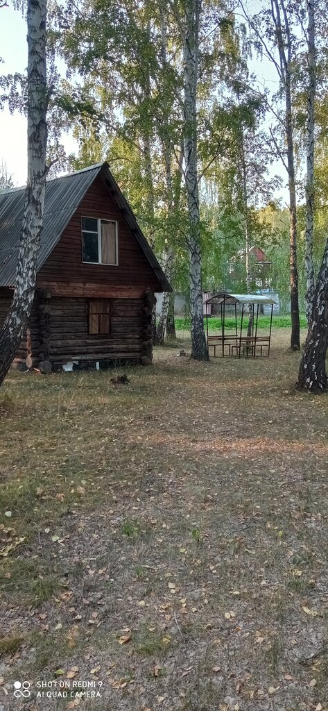 Resort oteller, tesisler База отдыха ЧелГУ, Çeliabinskaya oblastı, foto