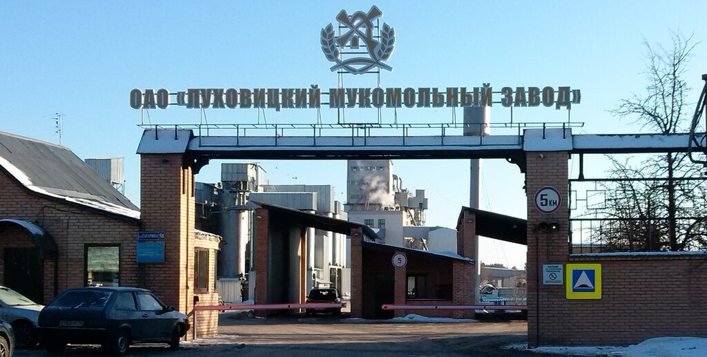 Un ve tahıllar Luhovickiy Mukomolniy Zavod, Luhovitsy, foto