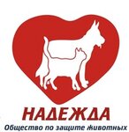 Animal shelters in Chelyabinsk Oblast, animal shelters near me on the ...