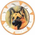 Obshchestvennaya organizatsiya Kamensk-Uralsky gorodskoy klub sluzhebnogo sobakovodstva (ulitsa Lenina No:11), hayvanat bahçesi merkezi  Kamensk‑Uralski'den