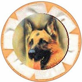 Hayvanat bahçesi merkezi Obshchestvennaya organizatsiya Kamensk-Uralsky gorodskoy klub sluzhebnogo sobakovodstva, Kamensk‑Uralski, foto