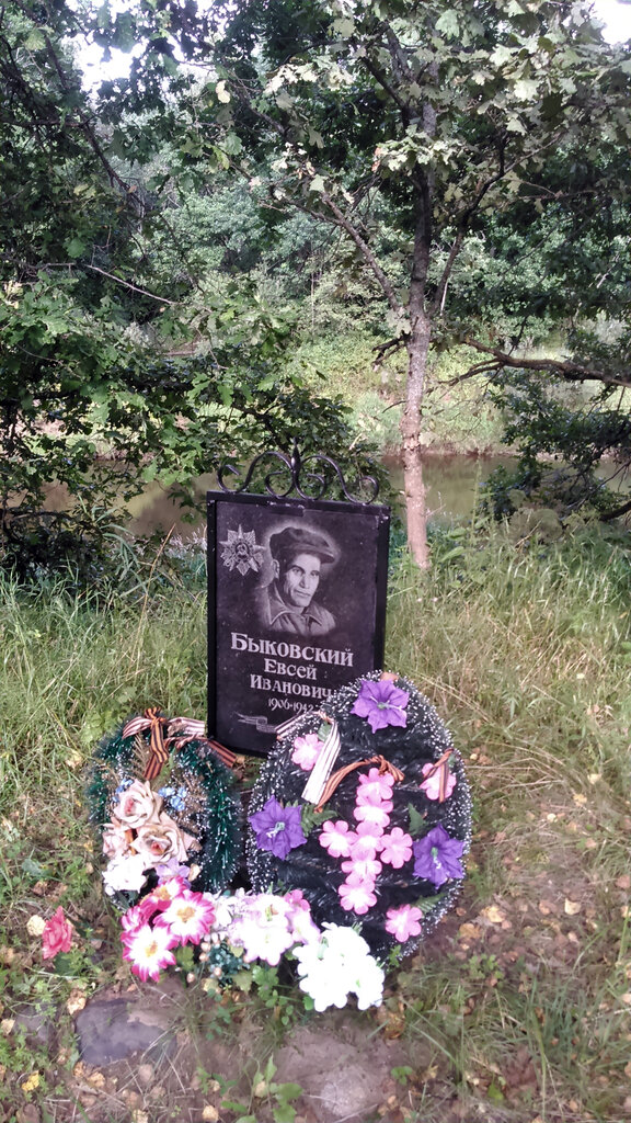 Anıt, heykel Партизанам, расстрелянным фашистами, Smolenskaya oblastı, foto