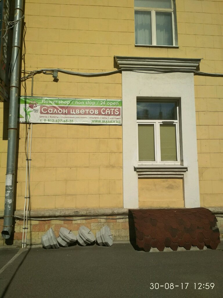 Bina, site yönetimi TSZh Usadba, Saint‑Petersburg, foto