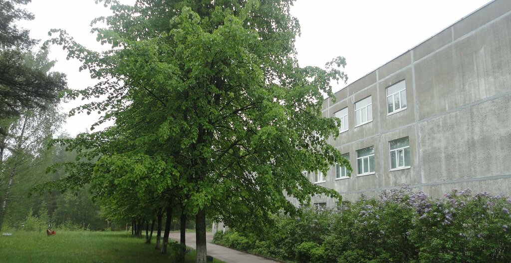 Ortaokul Kamenskaya shkola Srednego Obshchego Obrazovaniya, Saint‑Petersburg ve Leningradskaya oblastı, foto