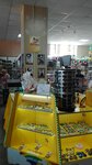 Otdel optika (ulitsa Ilyicha No:19/43), optik  Kazan'dan