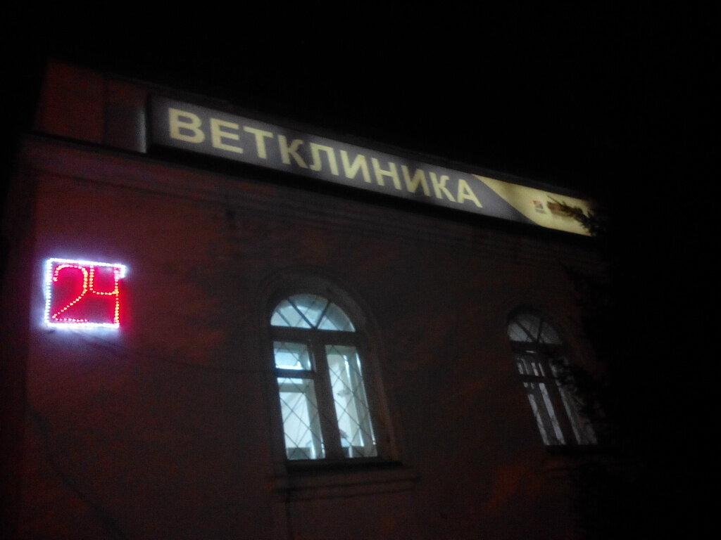 Veteriner klinikleri Veterinarnaya klinika doktora Kutlimatova, Ufa, foto