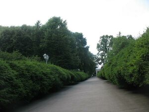 Natsionalny muzey-usadba N. I. Pirogova (vulytsia Pyrohova No:155), müzeler ve sanat galerileri  Vinica'dan