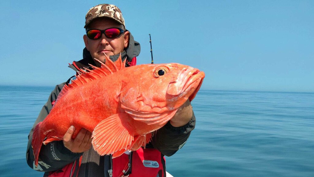 Seyahat acenteleri Kamriver, Petropavlovsk, foto