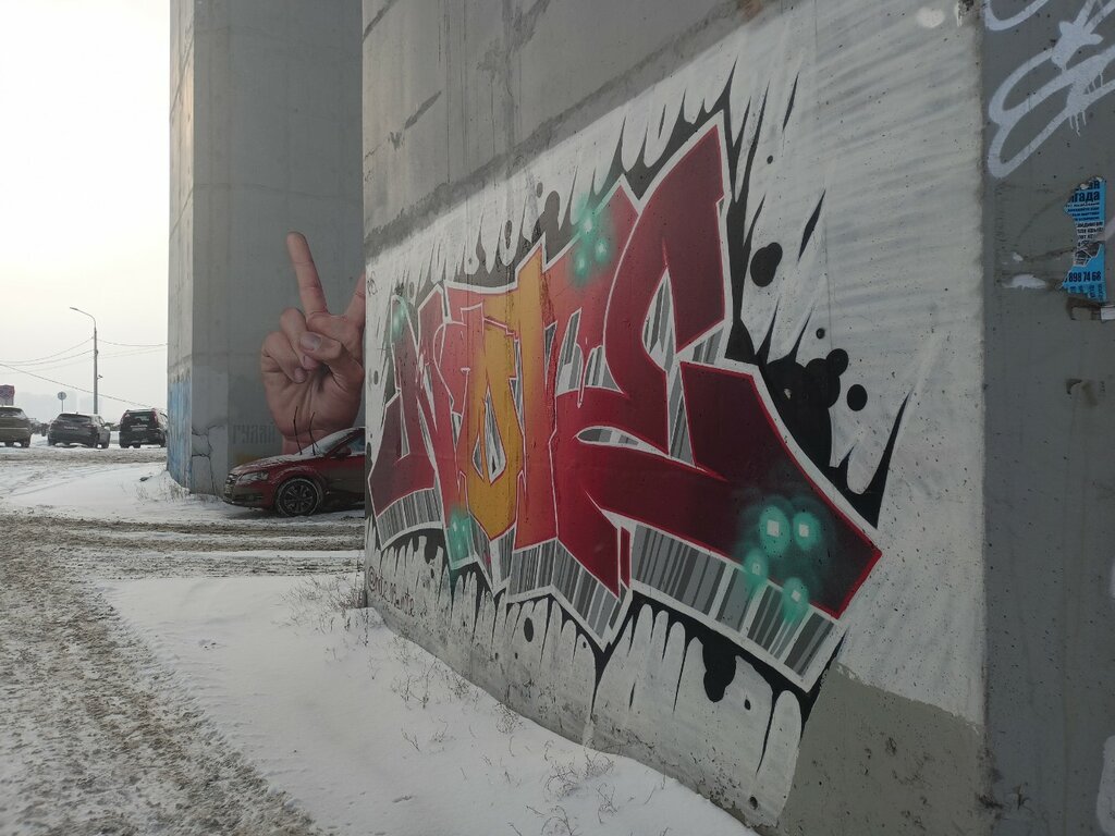 Sokak sanatı Граффити Ростислав Евгеньевич Алексеев, Nijni Novgorod, foto