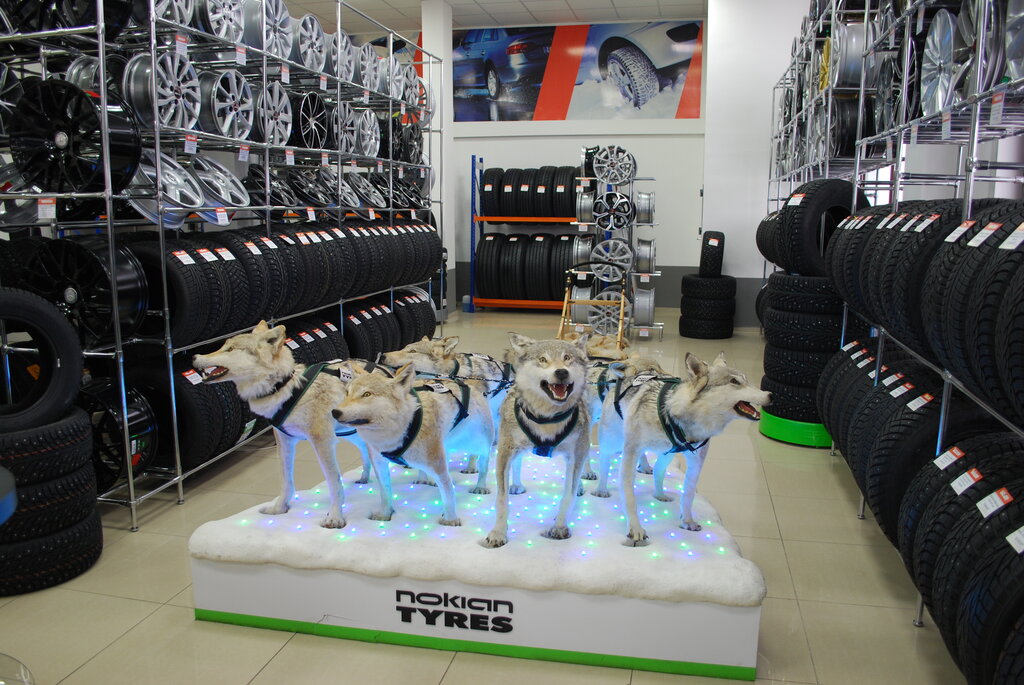 Jant ve lastikçiler Vianor, Astana, foto