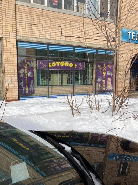 Petshop Кот@Пёс, Lytkarino, foto