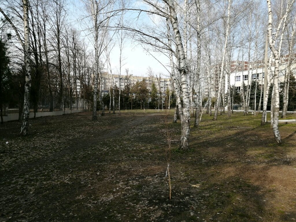 Orman Берёзовая роща, Krasnodar, foto