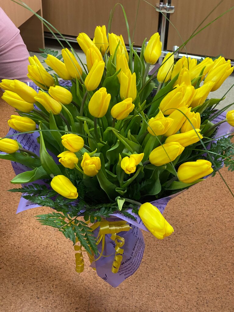 Çiçekçiler Орион, Hakasya, foto