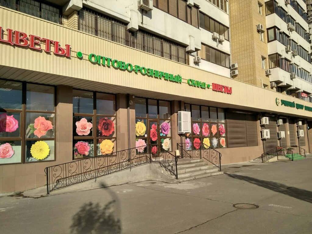 Reklam ajansları Newton, Volgograd, foto