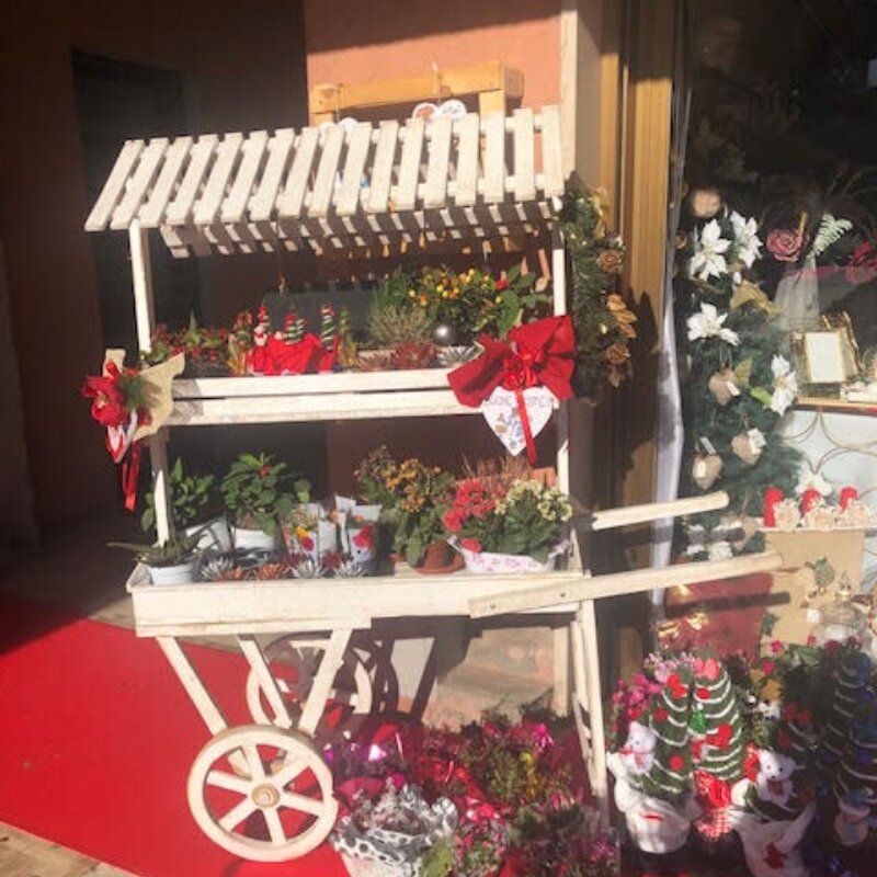 Çiçek teslimatı La Primavera Piante e Fiori, Toskana, foto
