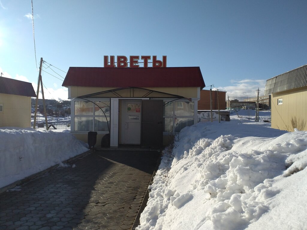 Çiçekçiler Цветы, Gornozavodsk, foto