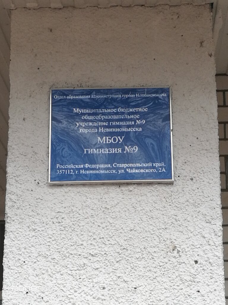 Fen lisesi, sosyal bilimler lisesi Gimnaziya № 9, Nevinnomissk, foto