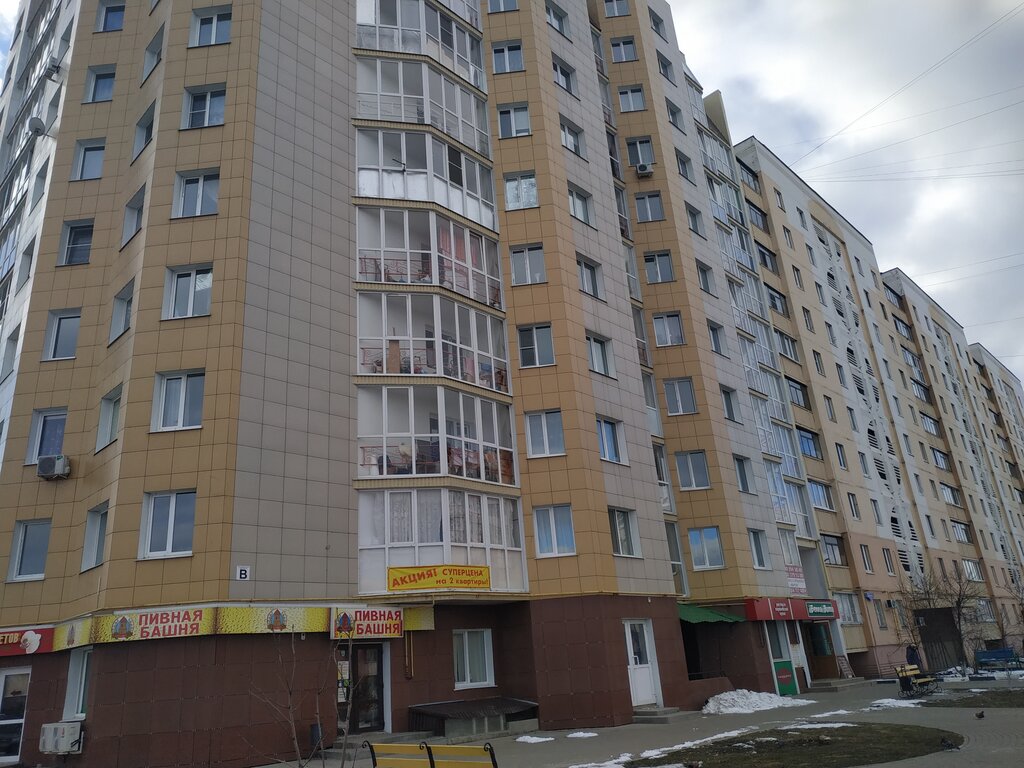 Bira dükkanı Пивная башня, Stroitel, foto