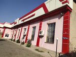 Ardak (Kolhoznyı tuıyq kóshesi No:28), restoran  Çimkent'ten (Şımkent'ten)