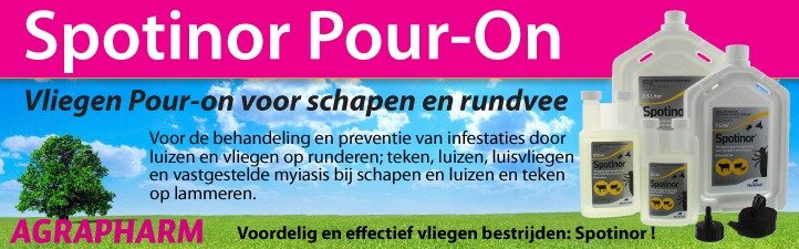 Petshop VeeService Idac Bv, Dünya, foto