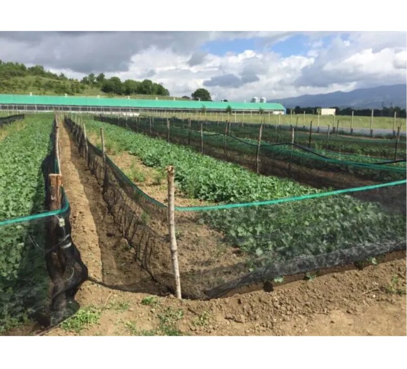 Kozmetik ve parfümeri mağazaları Green Garden Bio, Calabria, foto