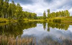 Сапроново (Moscow Region, Stupino City District, kottedzhny posyolok Sapronovo), arazi dizisi  Moskova ve Moskovskaya oblastından