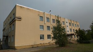Seymchan Museum of Local Lore (ulitsa Nikolayeva No:10, posyolok gorodskogo tipa Seymchan), müzeler ve sanat galerileri  Magadan Bölgesi'nden