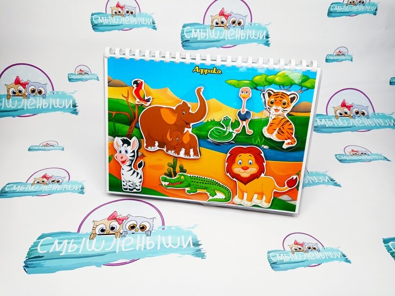 Okul kitap ve gereçleri Smyshlyonyshy, Mojaysk, foto