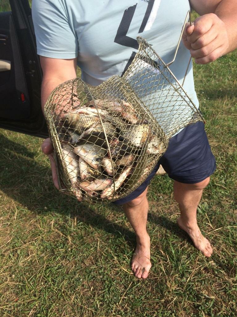 Balık çiftçiliği ve toptancıları ПКП Чистые пруды, Nijegorodskaya oblastı, foto