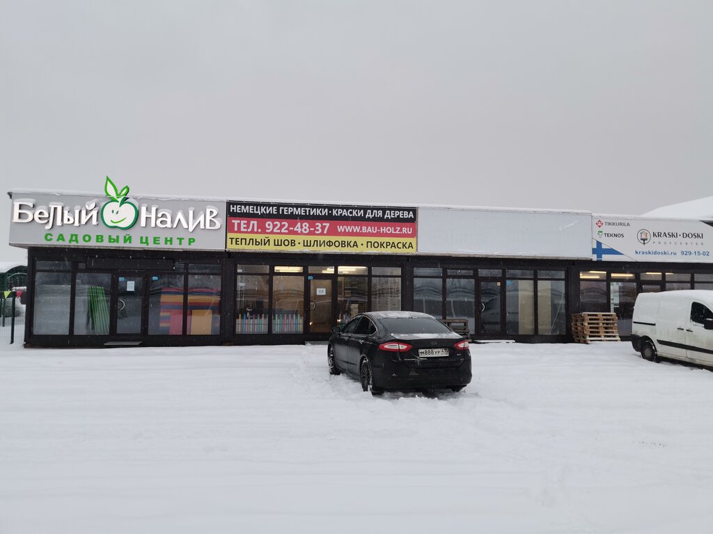 Derz dolgusu Bau Holz Color, Saint‑Petersburg ve Leningradskaya oblastı, foto