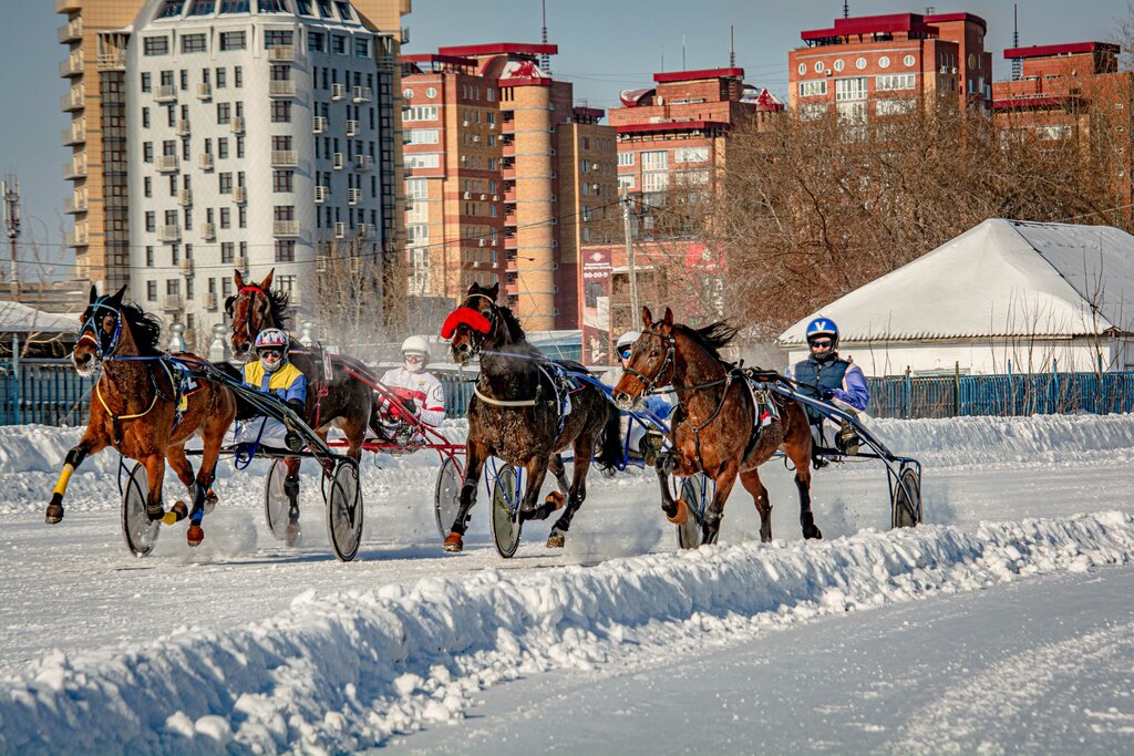 Hipodromlar Omsk Regional Hippodrome, Omsk, foto