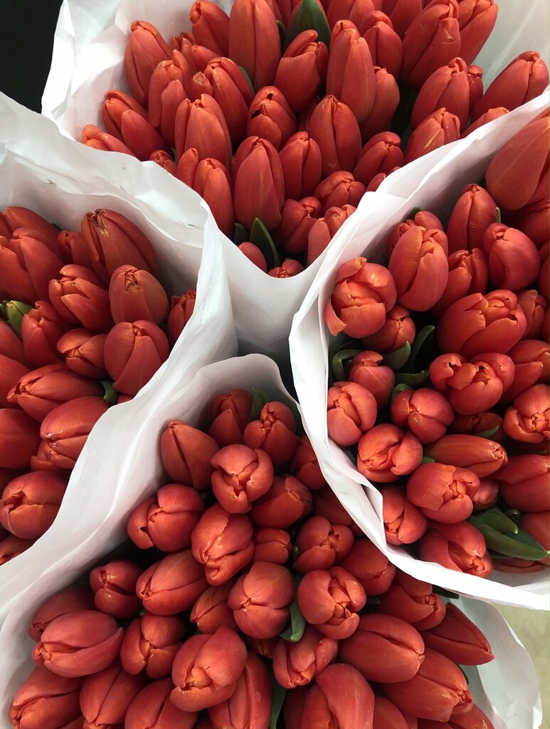 Çiçekçiler База Цветов, Rostov, foto