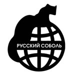 Baikal Auction Company Russian Sable Ltd (Baykalskaya Street No:263), müzayede firmaları  Irkutsk'tan