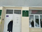 Башкирская гимназия-интернат № 2 имени Ахметзаки Валиди (Stakhanovskaya ulitsa No:99), ortaokul  İşimbay'dan