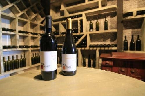 Kısa süreli konaklama Bruale - Winery and Hotel, , foto