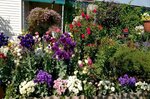 Guest House on Gatchinskaya (Gatchinskaya ulitsa No:43), otel  Sol‑İletsk'ten