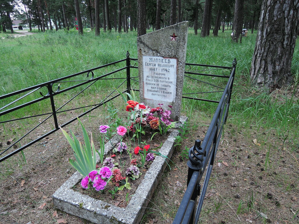 Anıt, heykel Партизану С.И. Матвееву, Seltso, foto